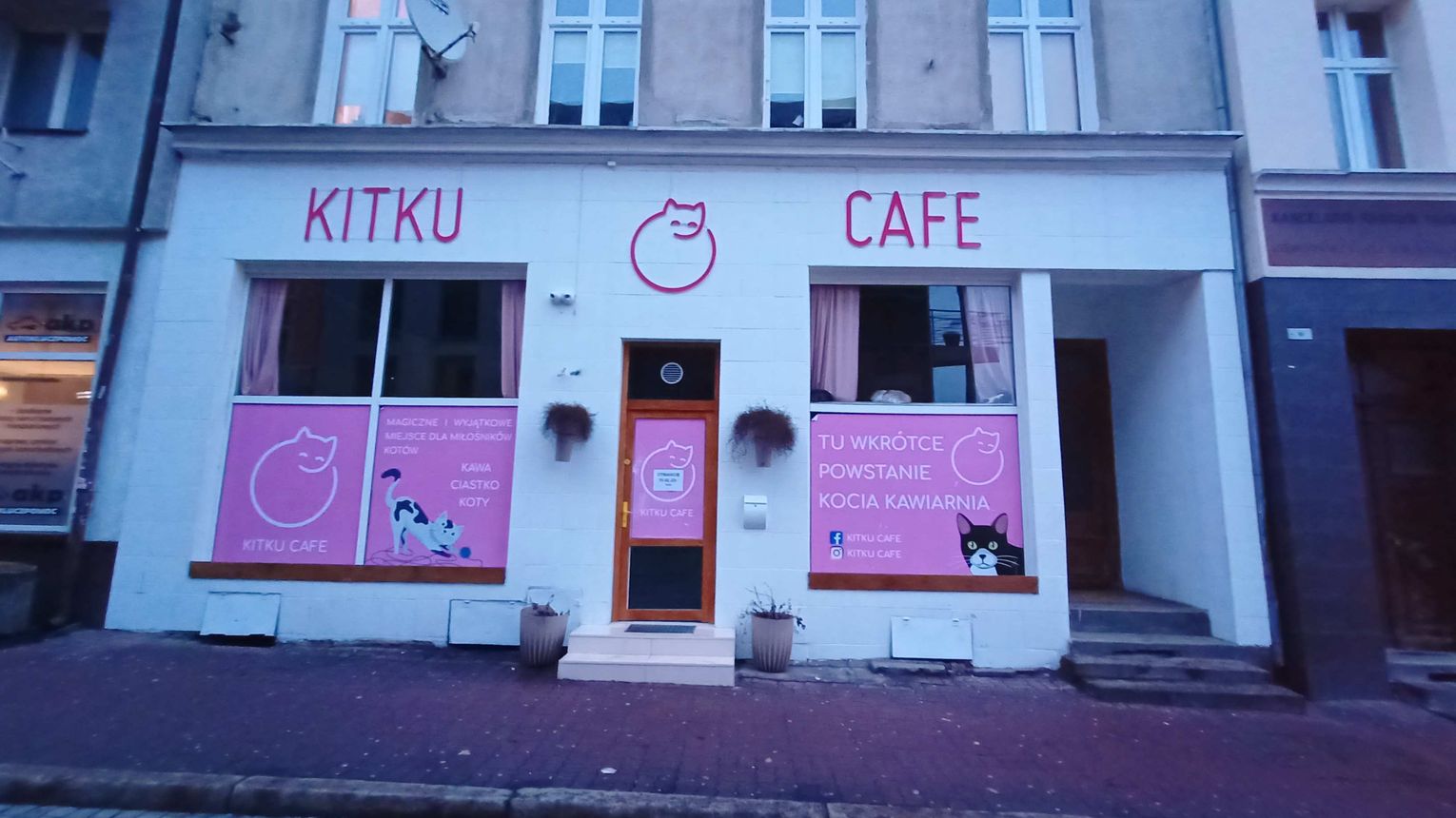 W kociej kawiarni będą ograniczenia! Sprawdź jakie!