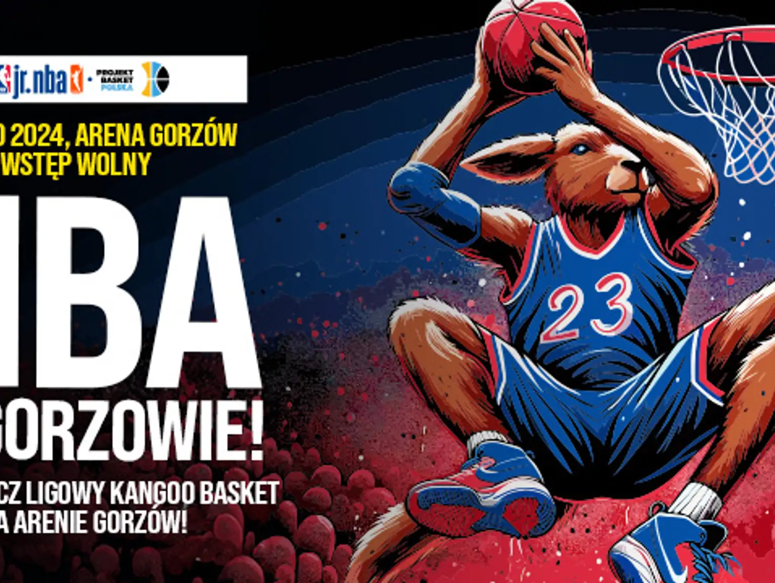 Nba basket store